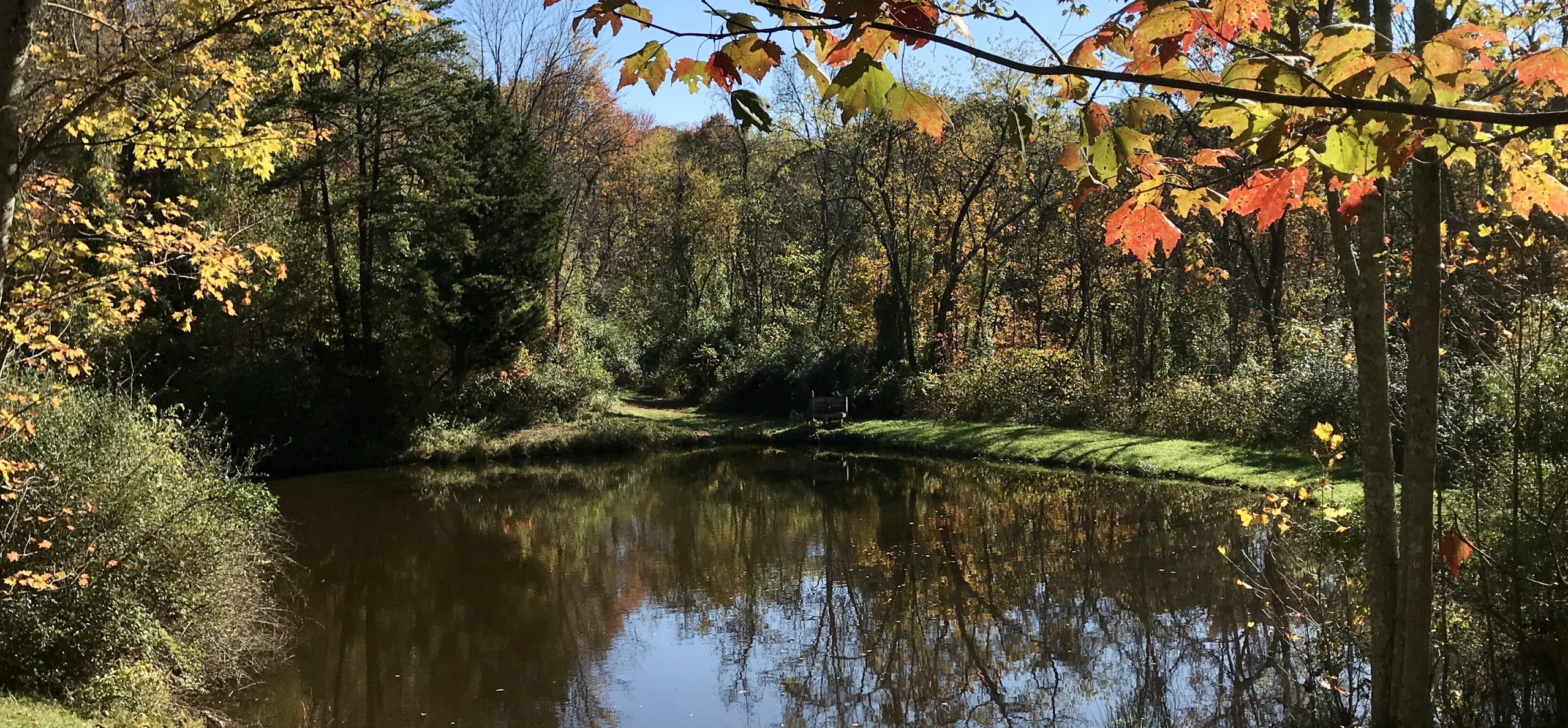 Welcome - The Broughton Foundation